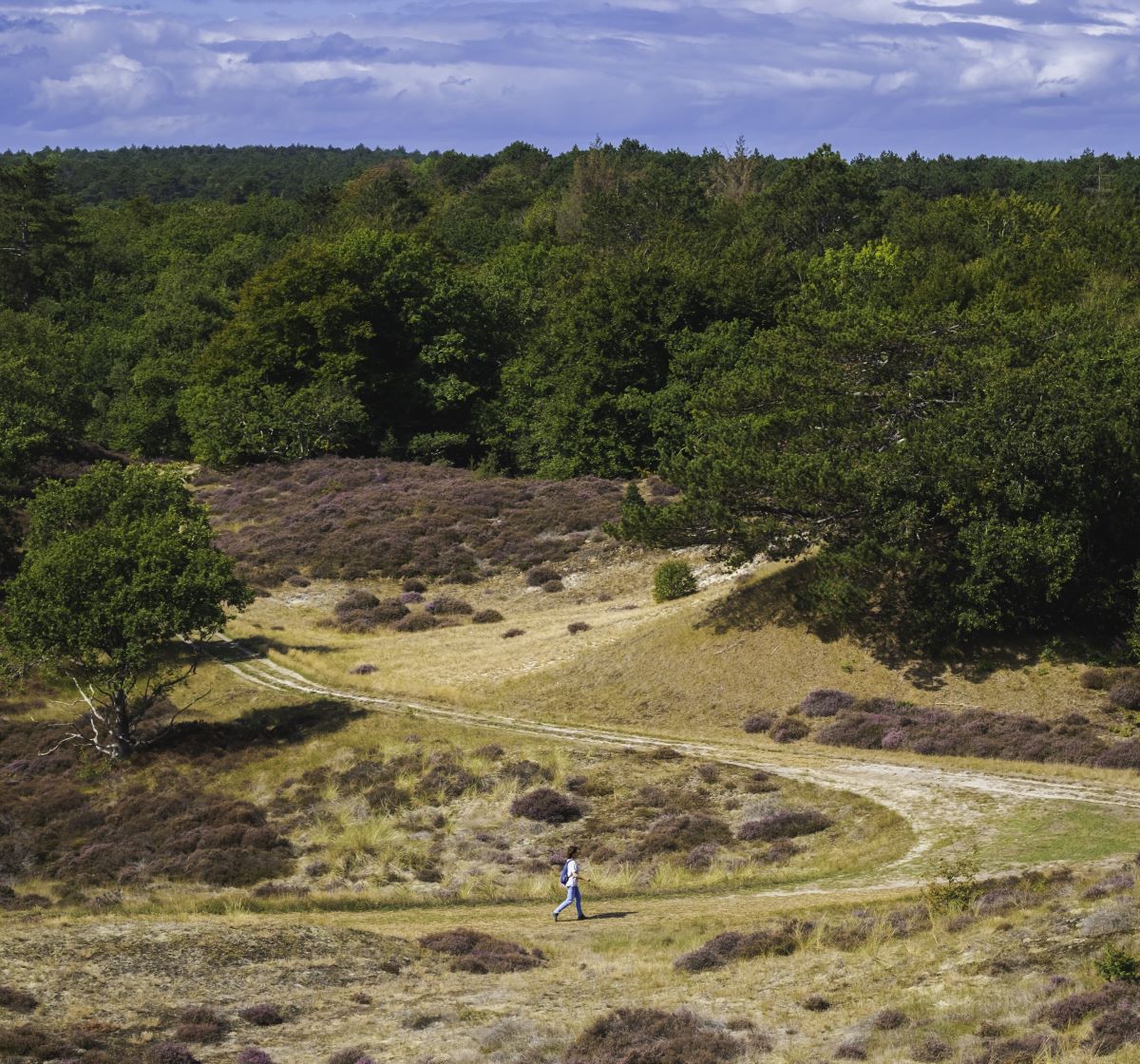 Ontdek de natuur